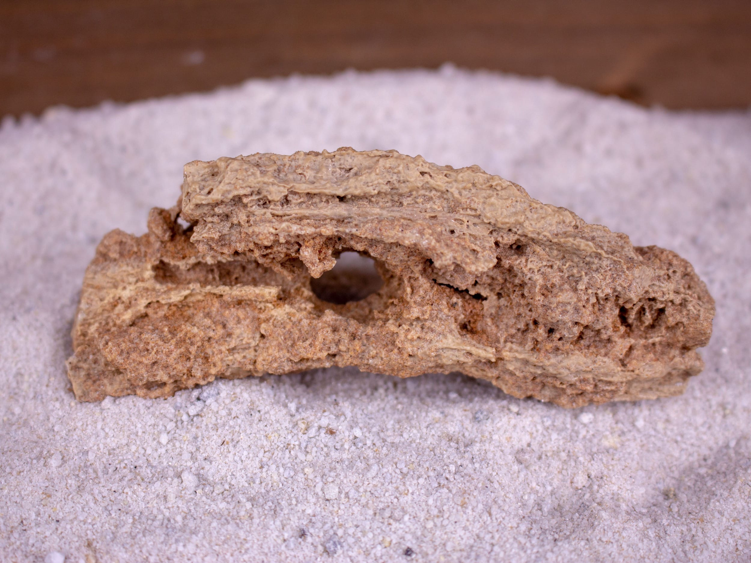 Learn About fulgerite - The Crystal Council