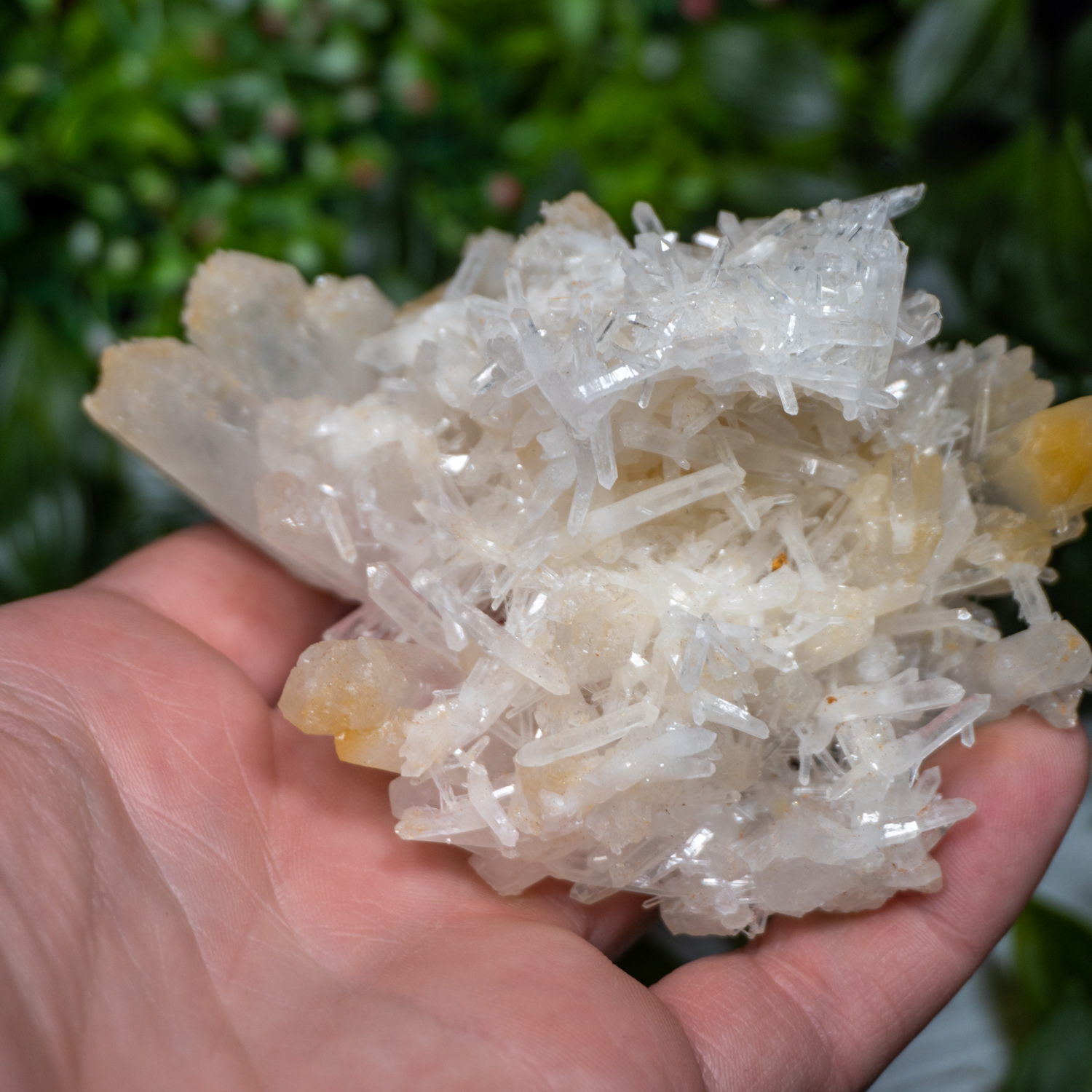 Mango Quartz #4 - The Crystal Council