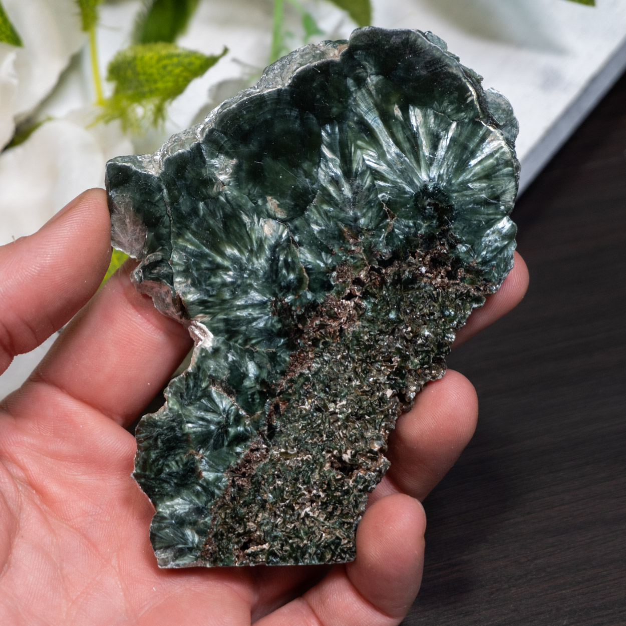 Seraphinite Slab #6 - The Crystal Council
