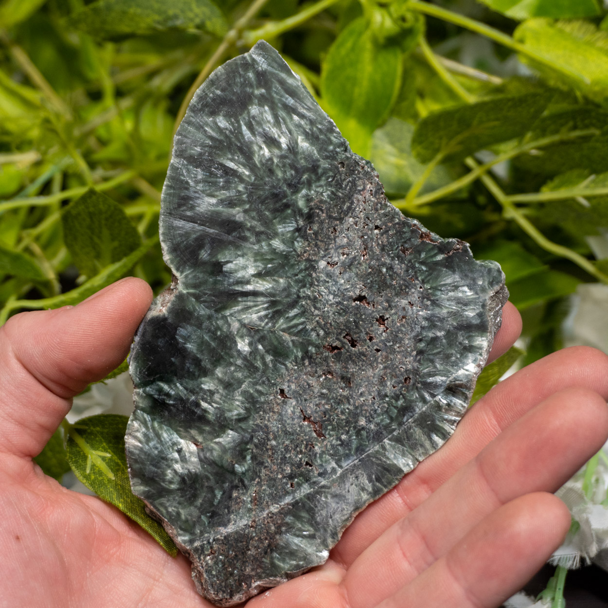 Seraphinite Slab #1 - The Crystal Council
