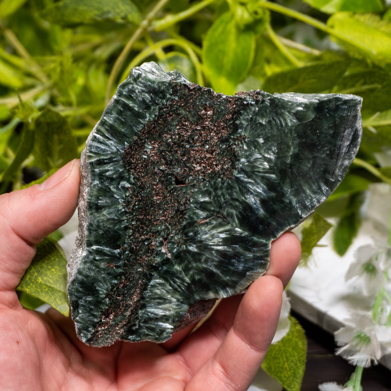 Seraphinite Slab #1 - The Crystal Council