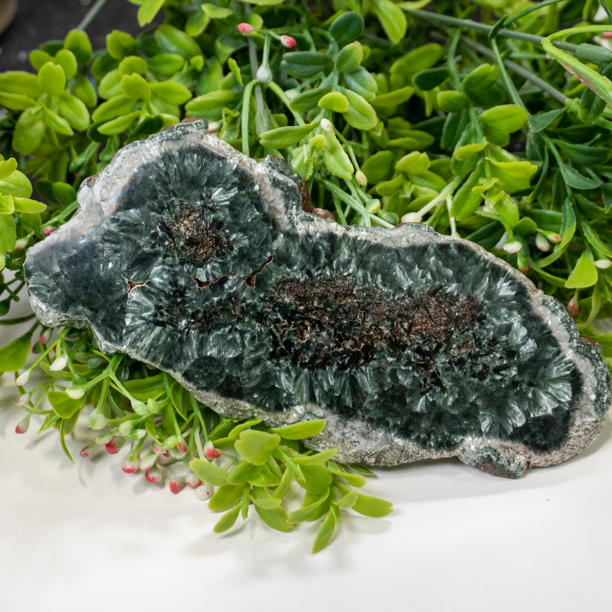 Seraphinite Slab #1 - The Crystal Council