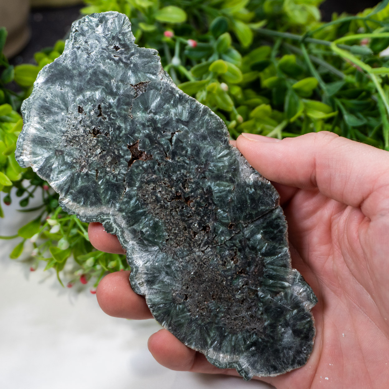 Seraphinite Slab #1 - The Crystal Council