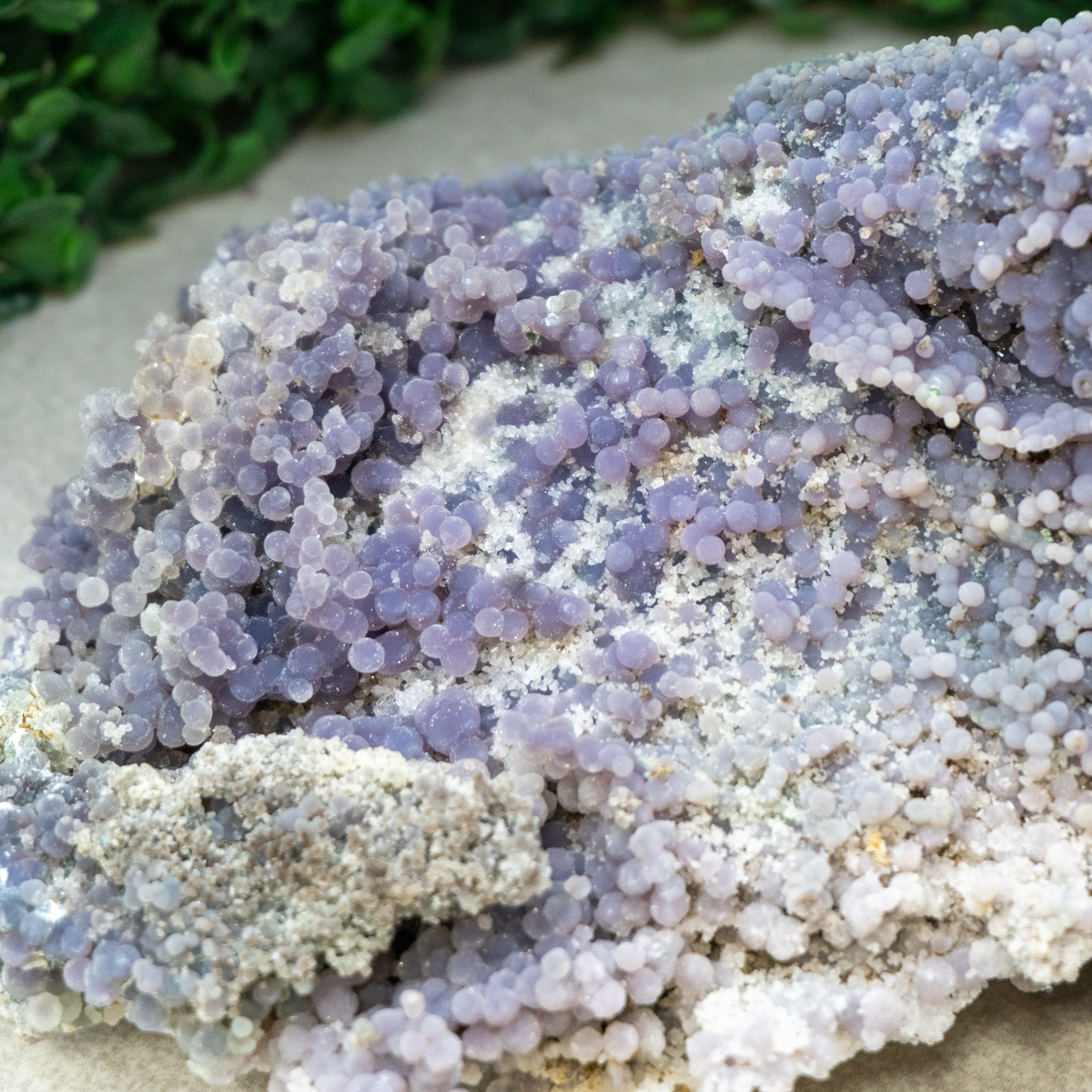 Large Grape Agate #5 - The Crystal Council