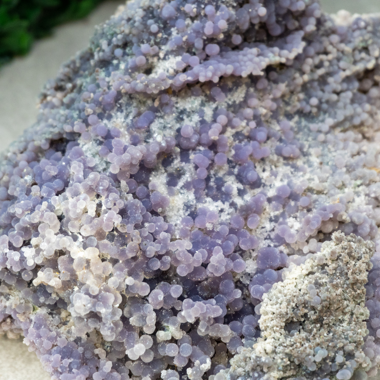 Large Grape Agate #5 - The Crystal Council
