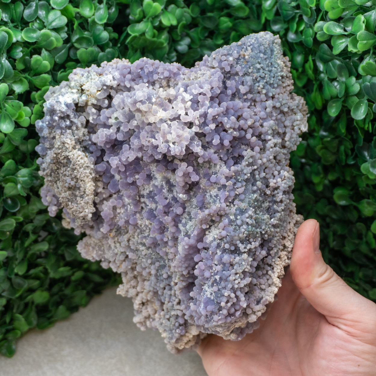 Large Grape Agate #5 - The Crystal Council