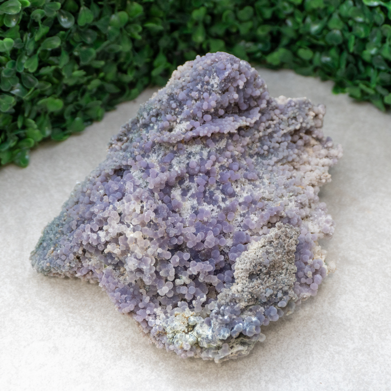 Large Grape Agate #5 - The Crystal Council