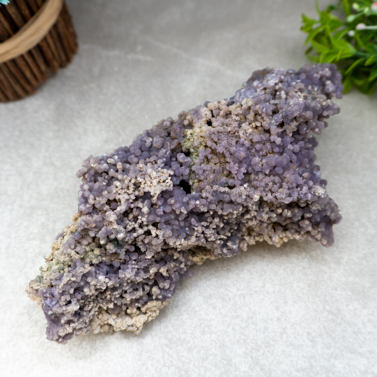 Large Grape Agate #4 - The Crystal Council