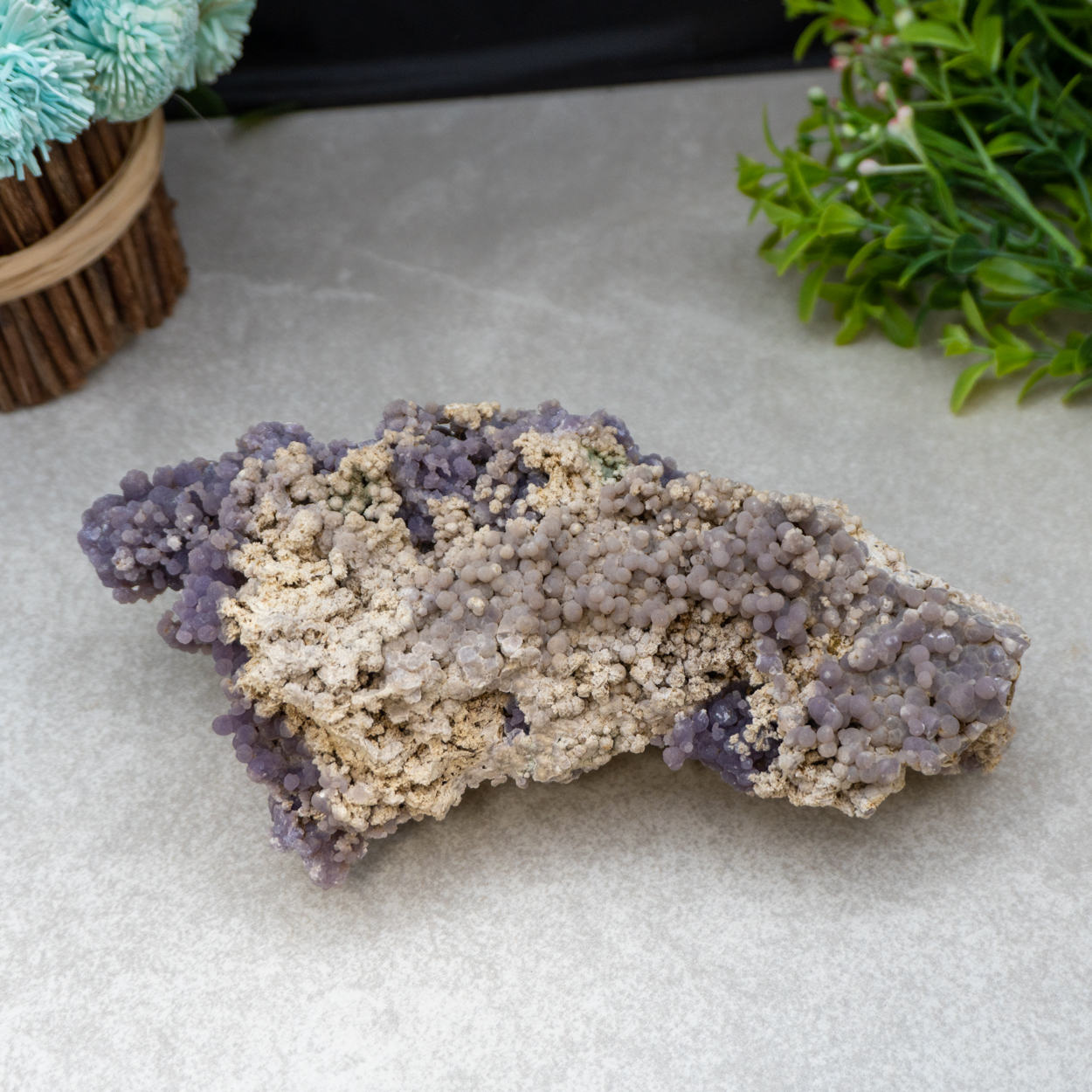 Large Grape Agate #4 - The Crystal Council