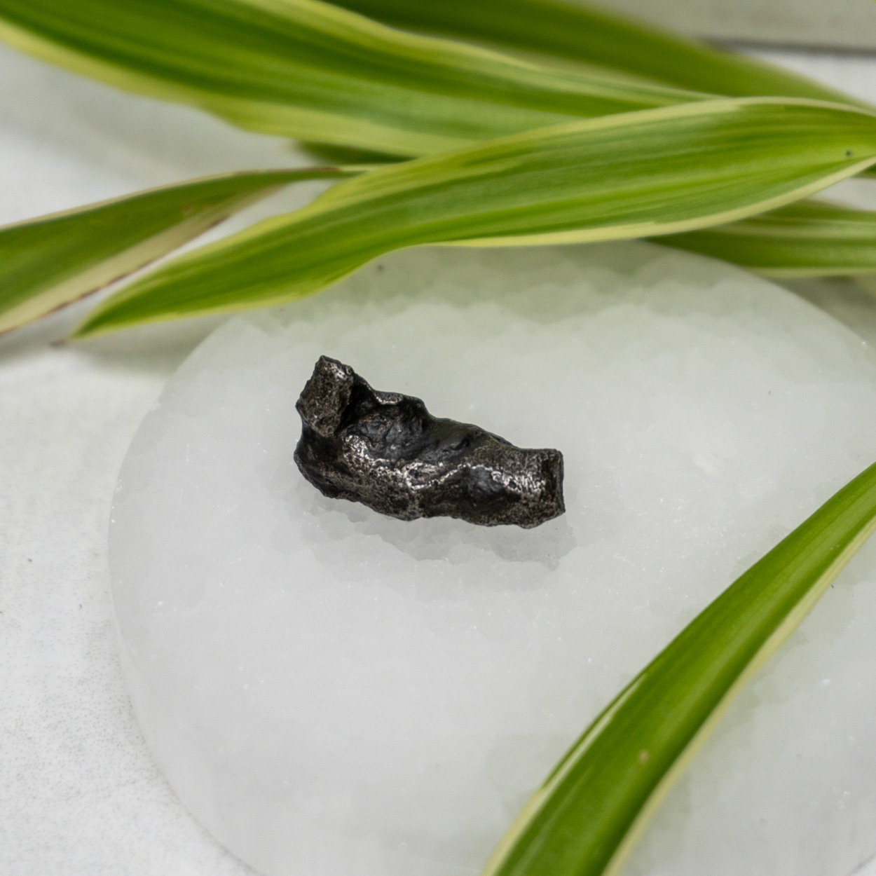 Natural Sikhote-Alin Meteor #5 - The Crystal Council