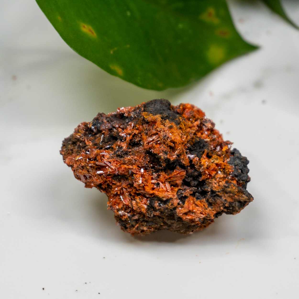 Raw Crocoite #2 - The Crystal Council