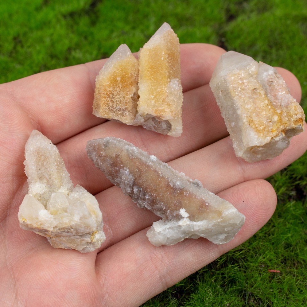 Small Spirit Quartz Points - The Crystal Council