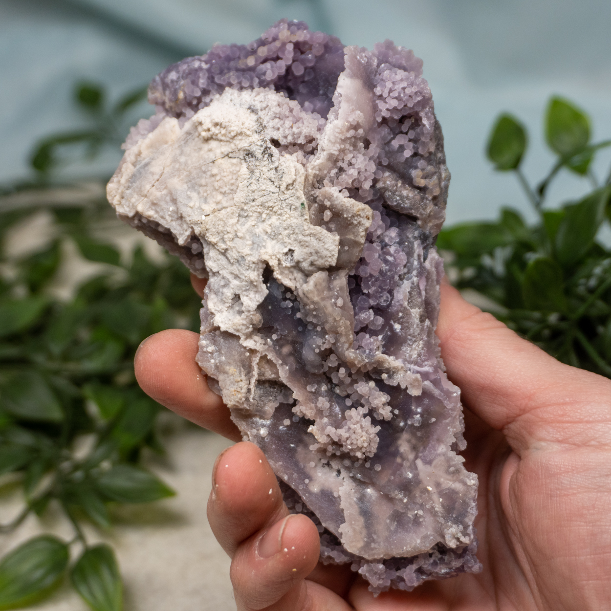 Grape Agate #22 - The Crystal Council