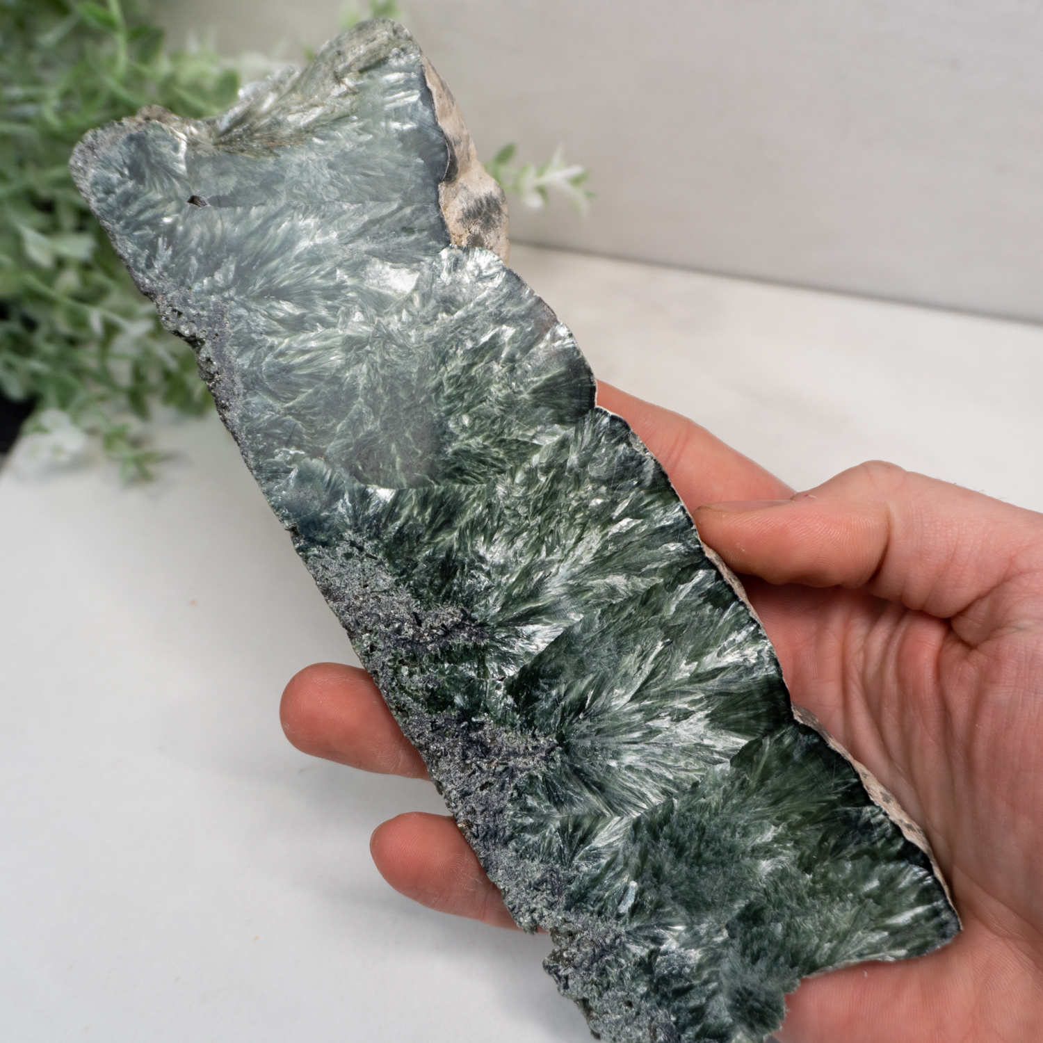 Seraphinite Slab XL #1 - The Crystal Council