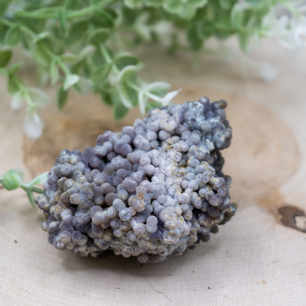 Medium Grape Agate #1 - The Crystal Council