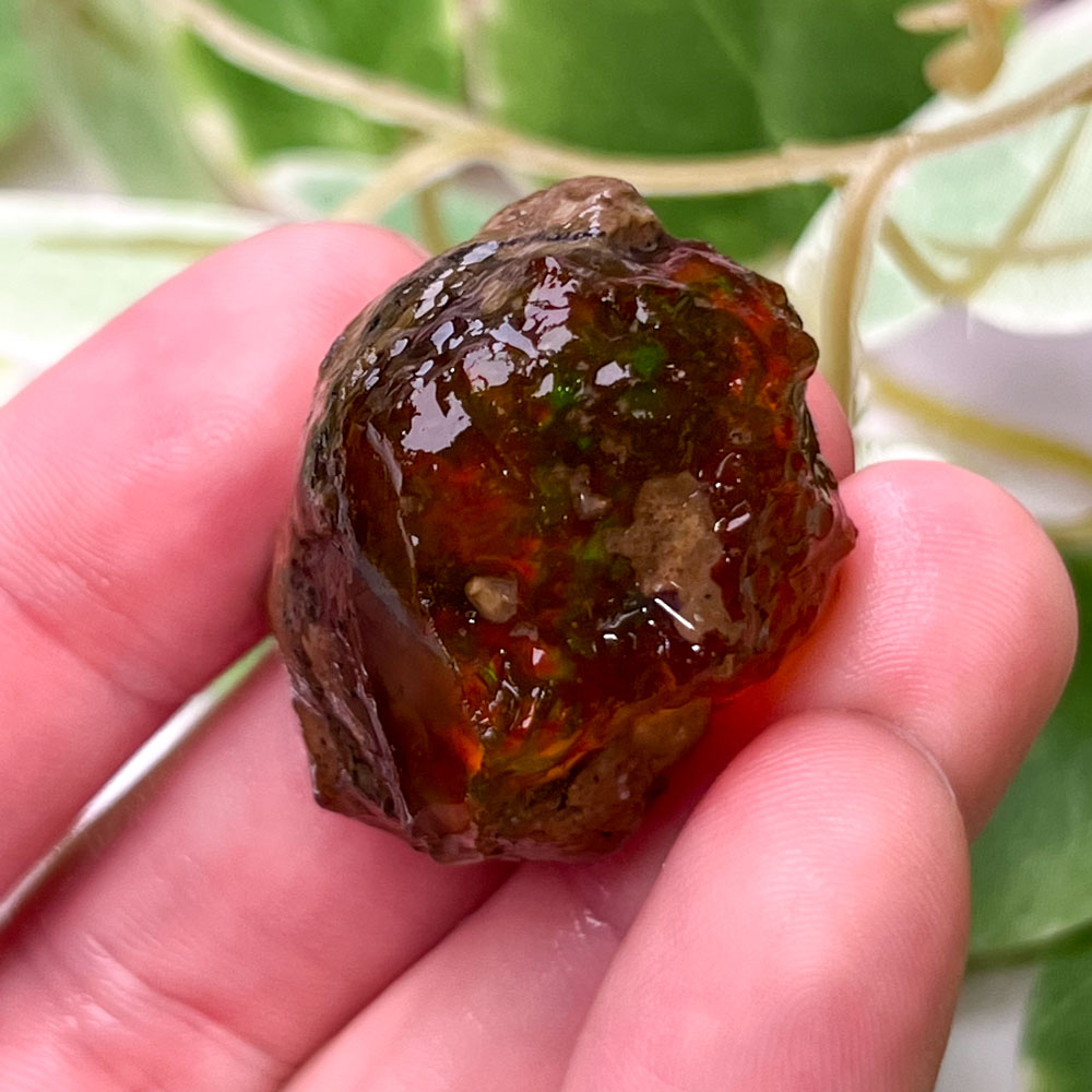 Small Ethiopian Welo Opal #6 - The Crystal Council