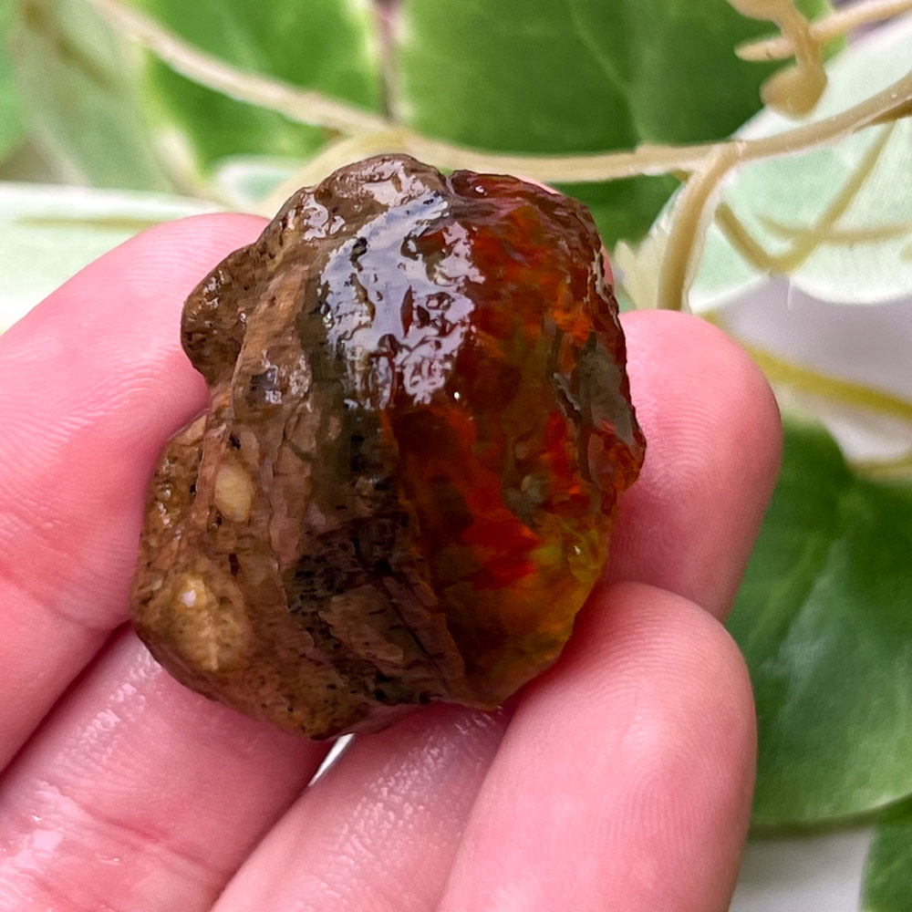 Small Ethiopian Welo Opal #6 - The Crystal Council