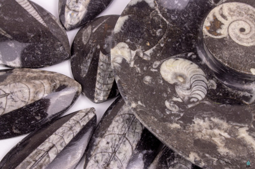 Orthoceras Meanings and Crystal Properties - The Crystal Council