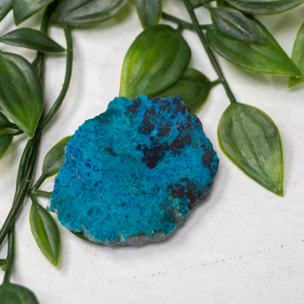 Shattuckite Slab with Tenorite, Azurite, and Chrysocolla Slab #12 - The ...