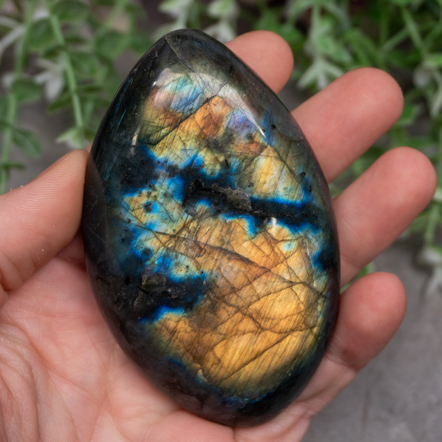 High Flash Labradorite Palmstone #3 - The Crystal Council