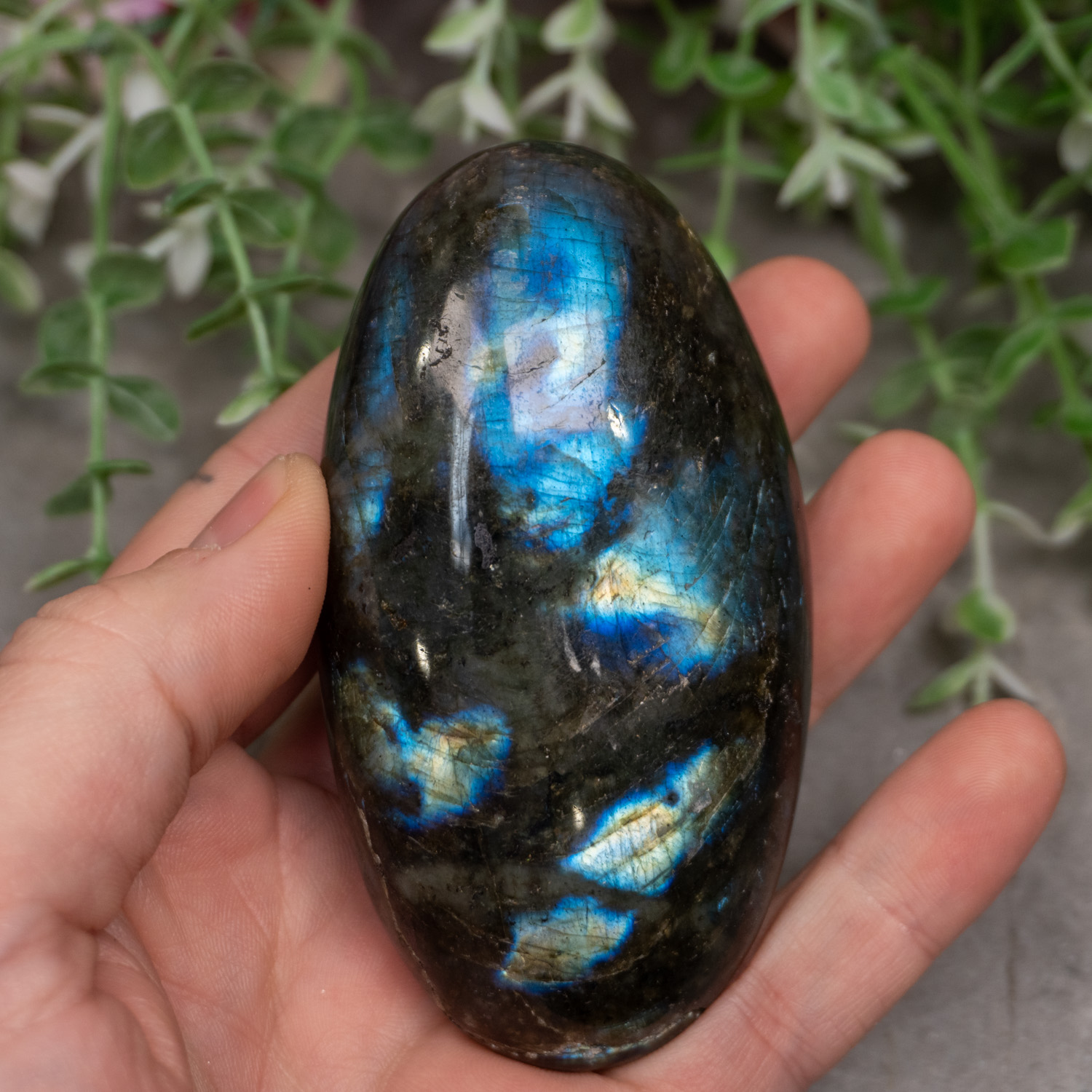 High Flash Labradorite Palmstone #1 - The Crystal Council