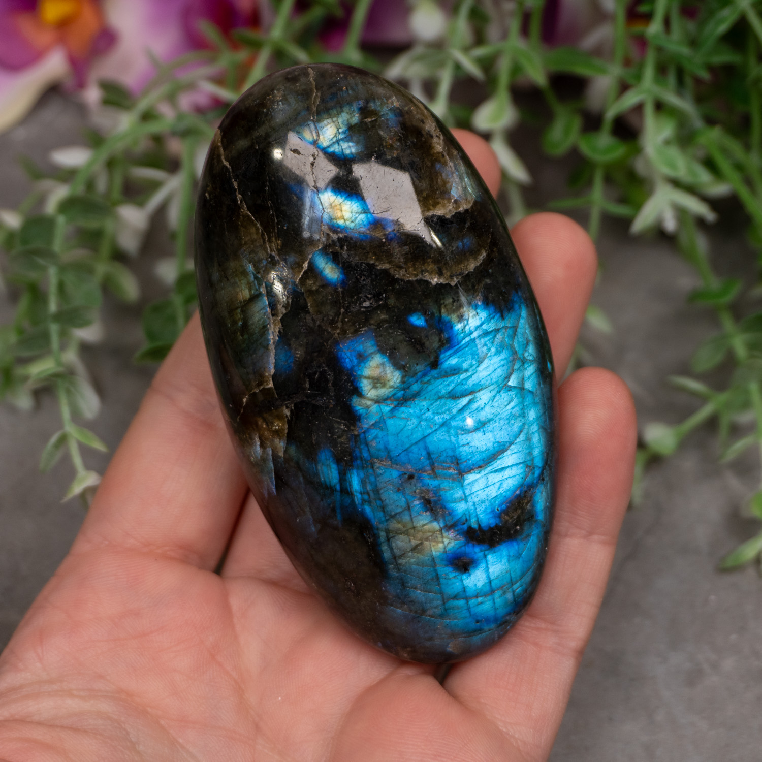 High Flash Labradorite Palmstone #1 - The Crystal Council