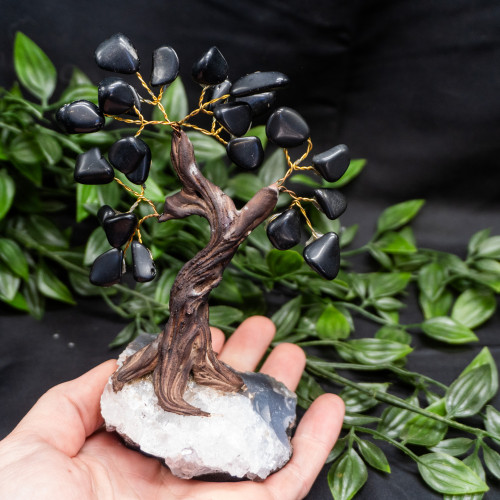 Medium Obsidiain Crystal Tree - The Crystal Council