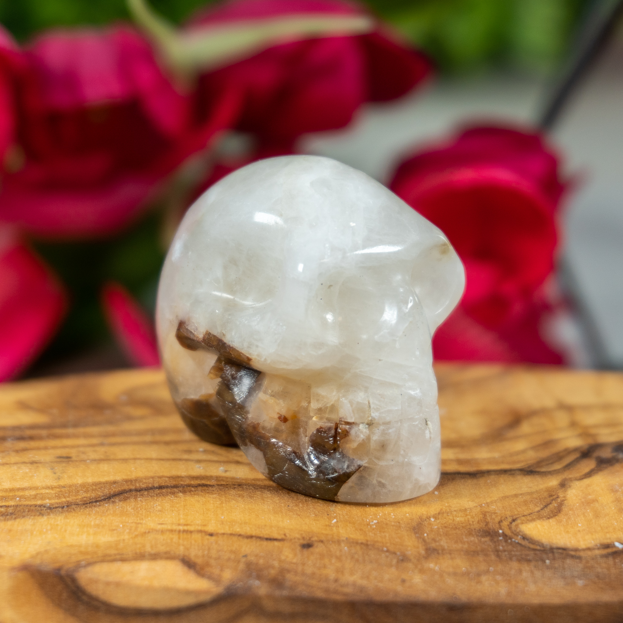 Cryolite Skull - The Crystal Council