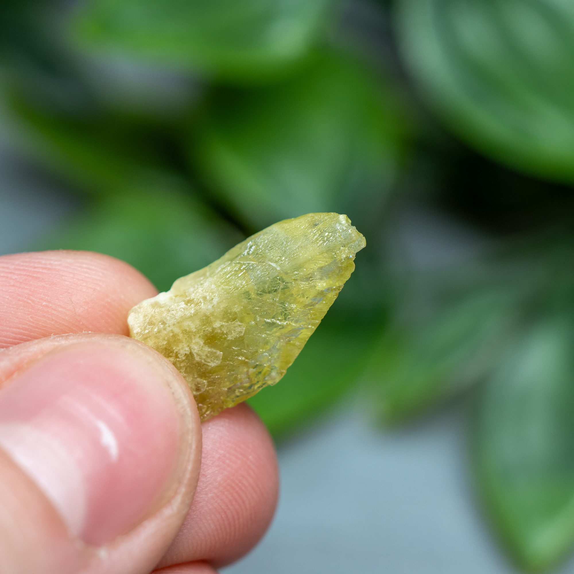 Brazilianite #2 - The Crystal Council