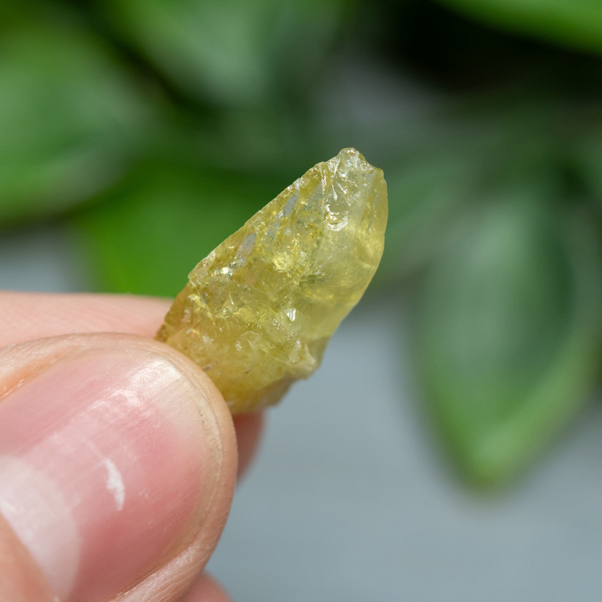 Brazilianite #2 - The Crystal Council