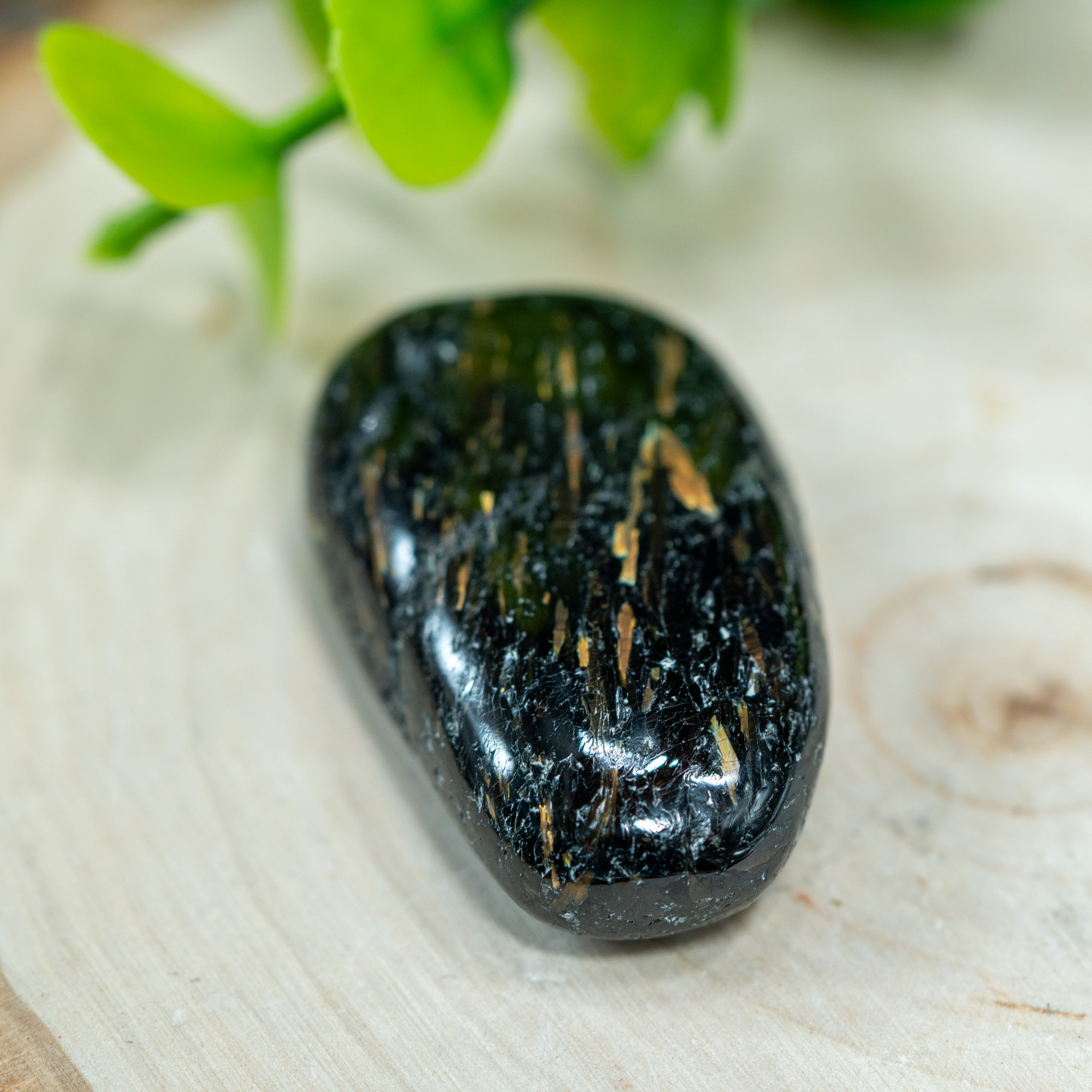 Nuummite Pocket Piece #7 - The Crystal Council