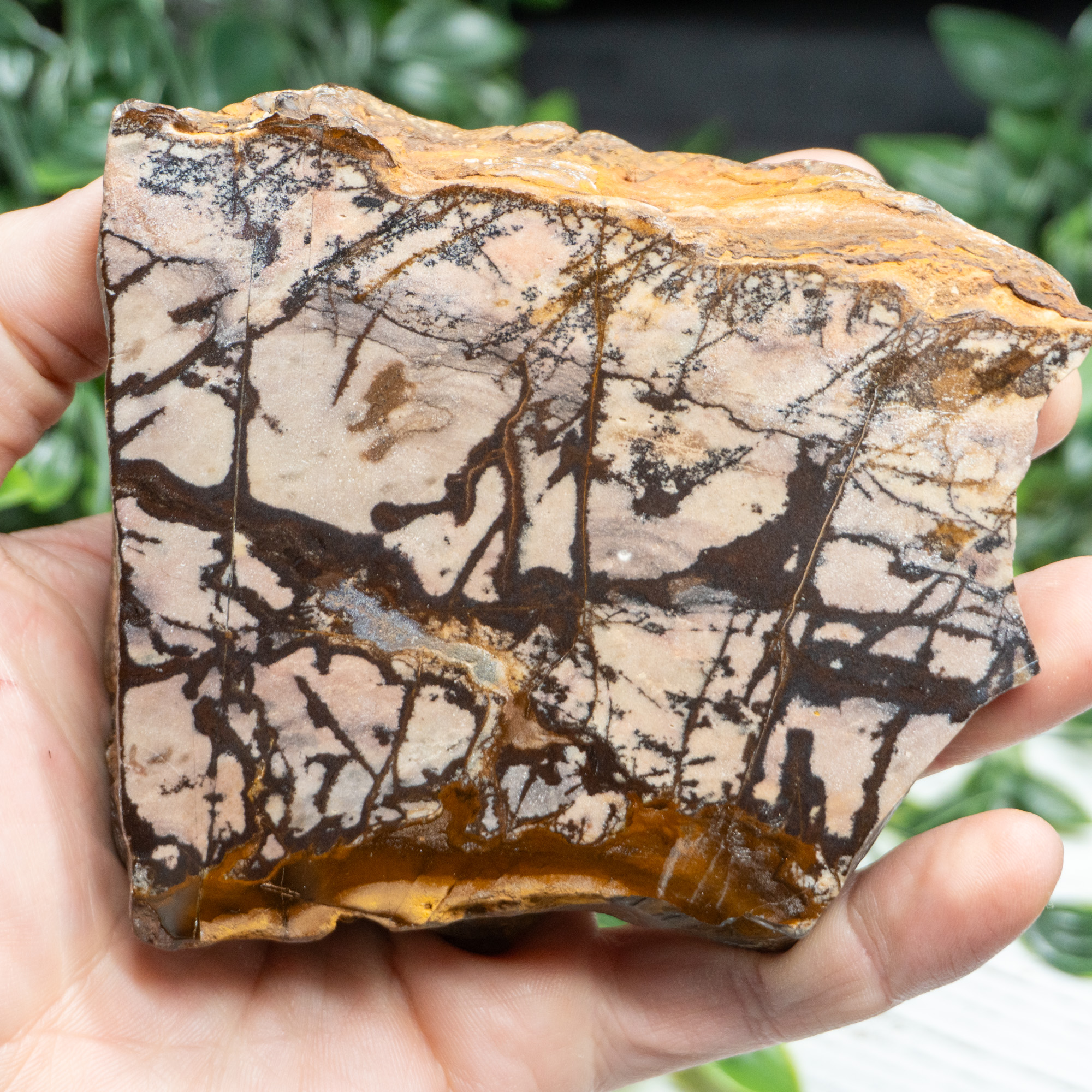 Outback Jasper Slab #3 - The Crystal Council