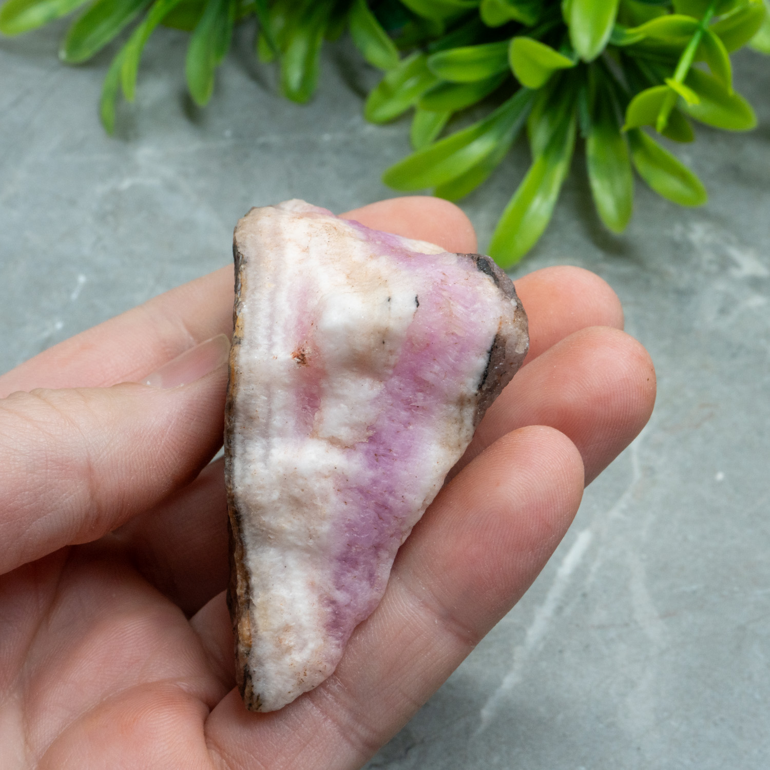 Raw Pink Aragonite #9 - The Crystal Council