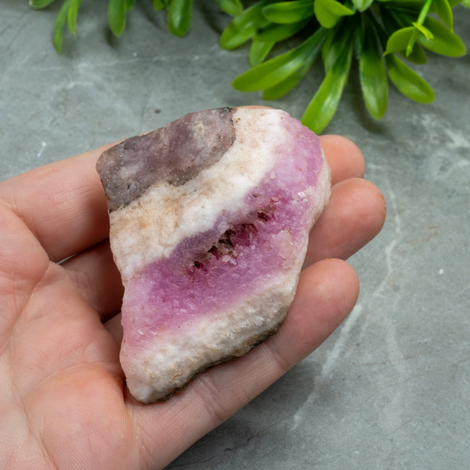 Raw Pink Aragonite #9 - The Crystal Council