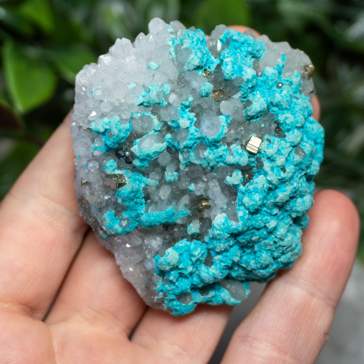 Large Turquoise on Quartz #1 - The Crystal Council