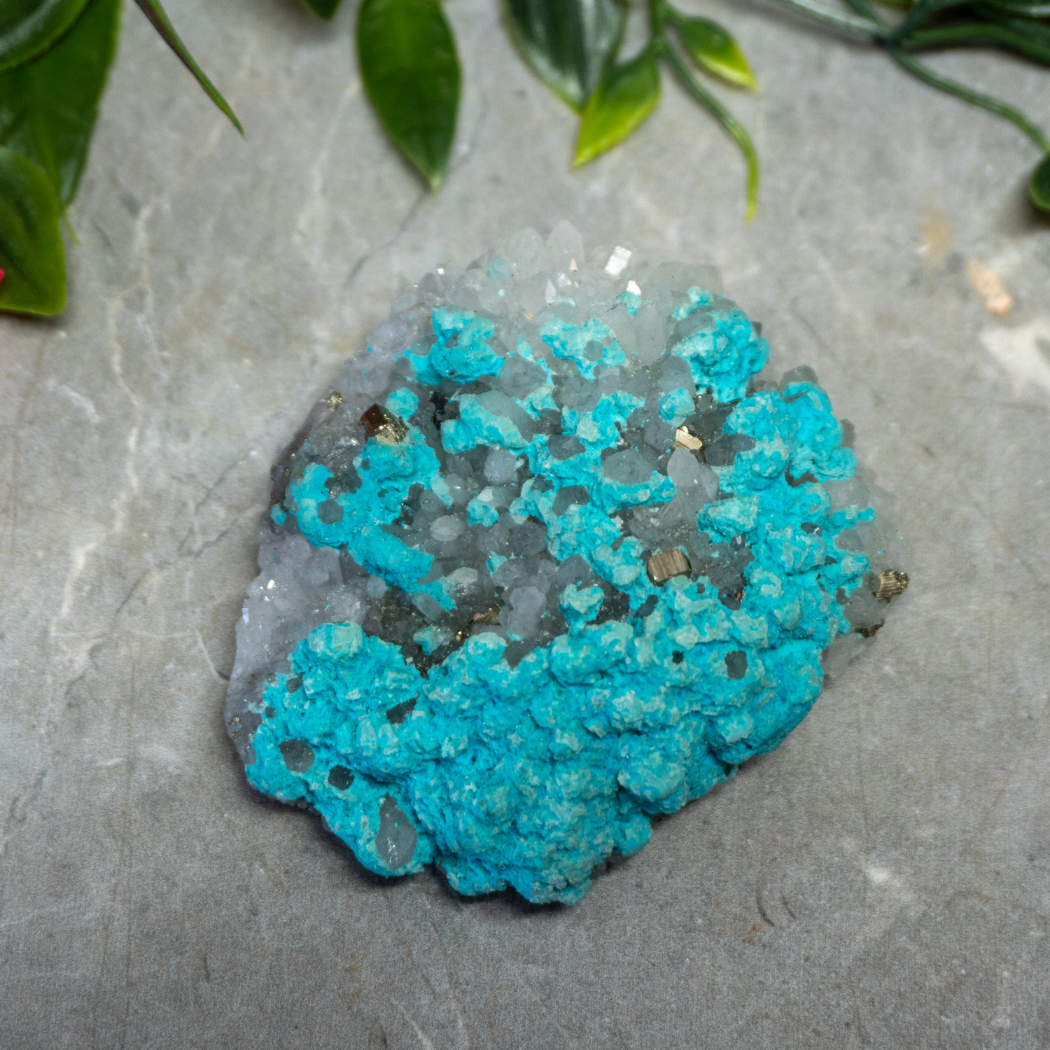Large Turquoise on Quartz #1 - The Crystal Council