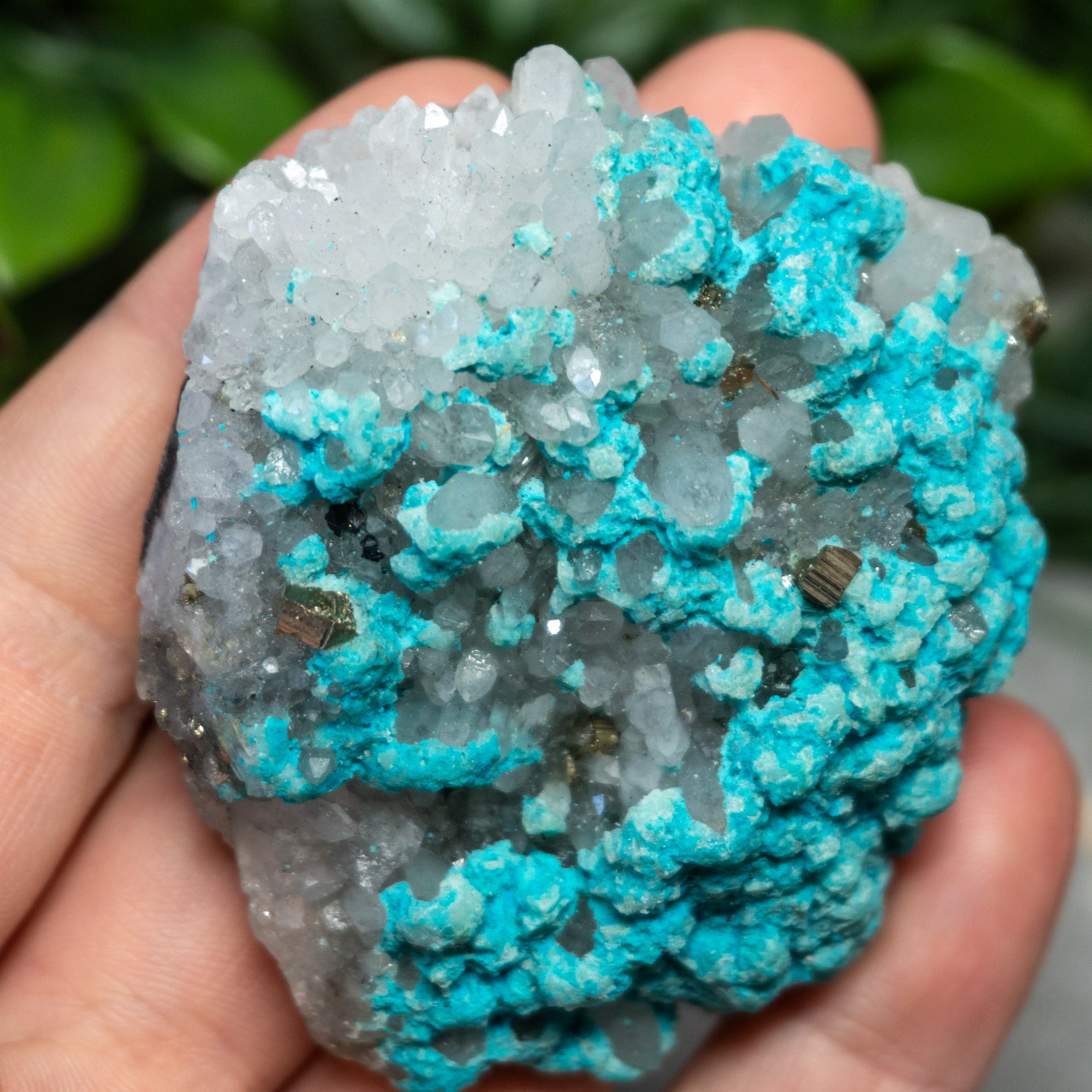 Large Turquoise on Quartz #1 - The Crystal Council