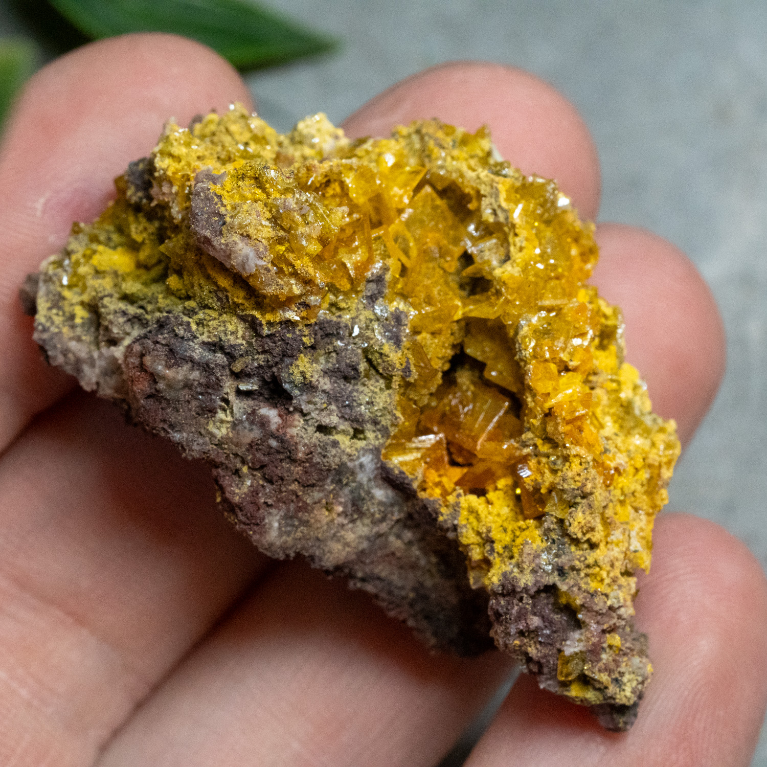 Wulfenite #4 - The Crystal Council