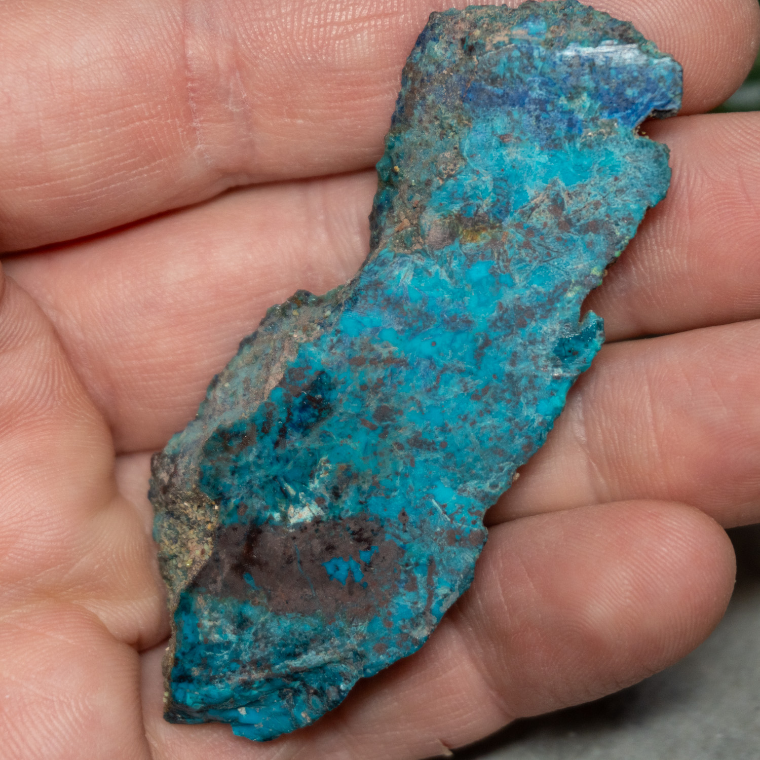 Chrysocolla, Shattuckite, and Tenorite Slab #10 - The Crystal Council