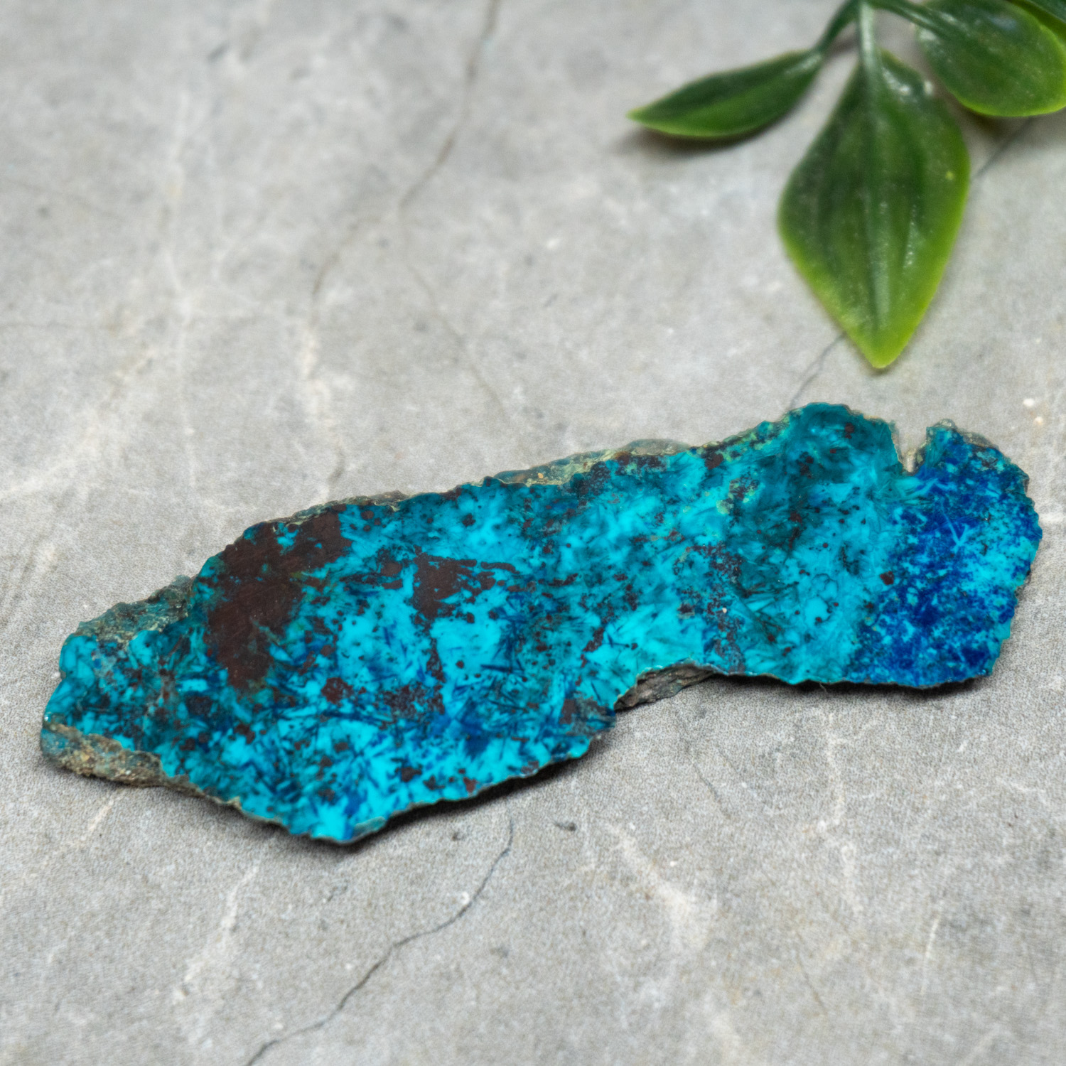 Chrysocolla, Shattuckite, and Tenorite Slab #10 - The Crystal Council