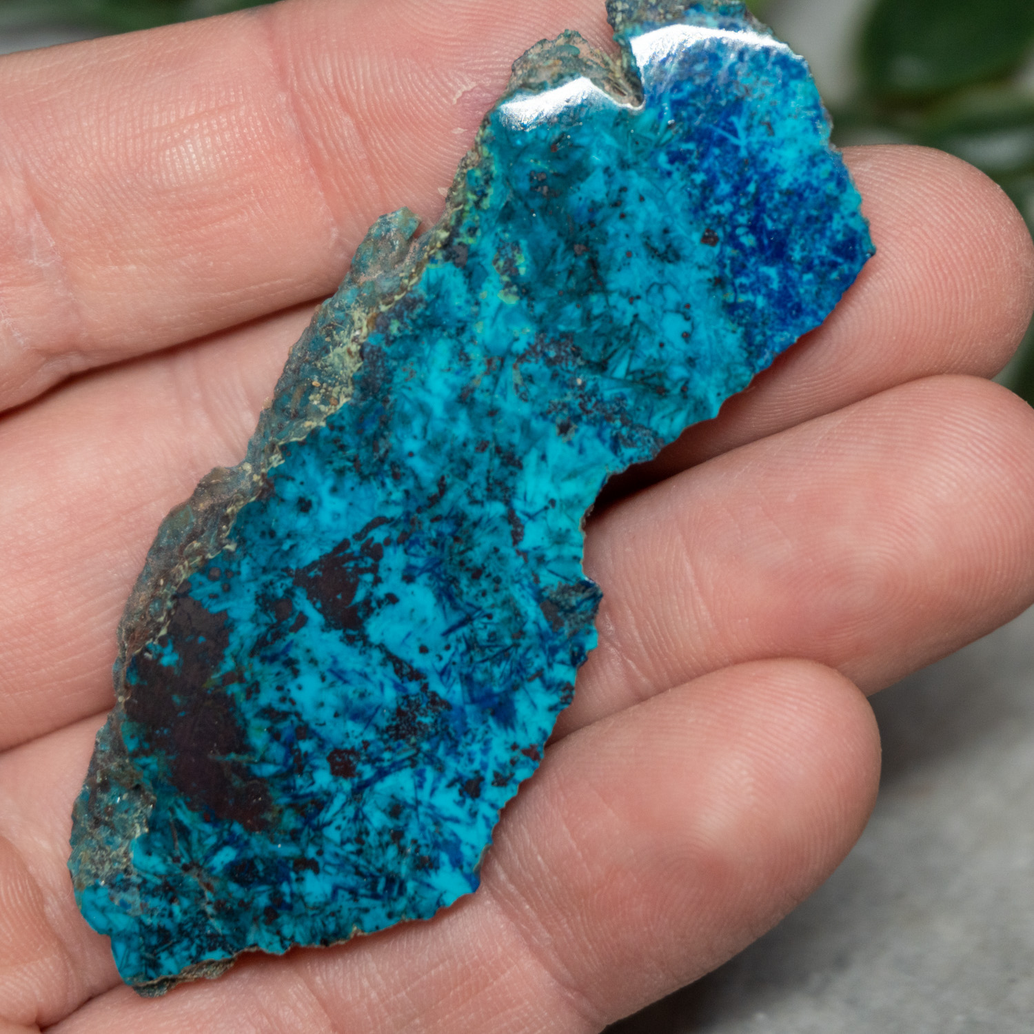 Chrysocolla, Shattuckite, and Tenorite Slab #10 - The Crystal Council