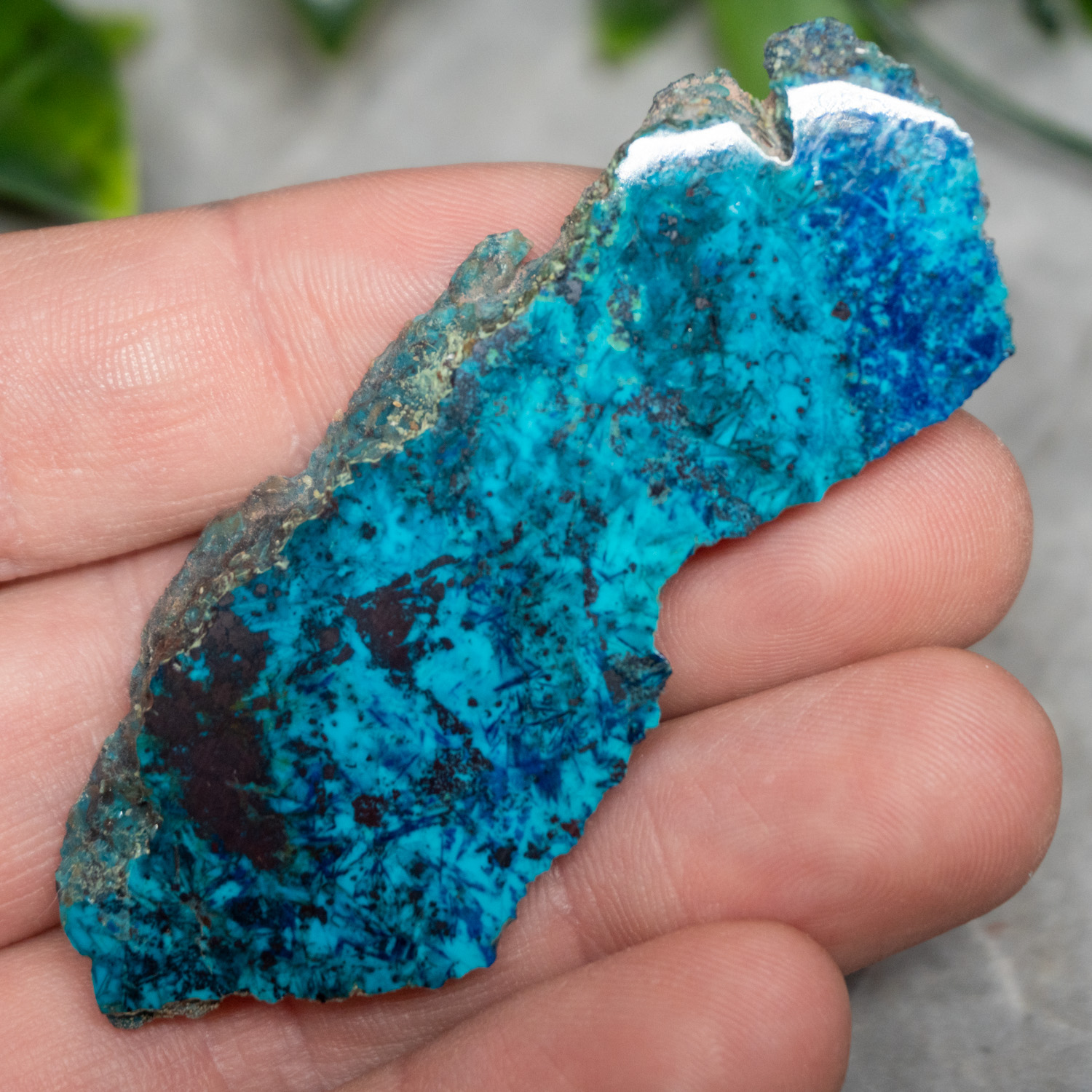 Chrysocolla, Shattuckite, and Tenorite Slab #10 - The Crystal Council