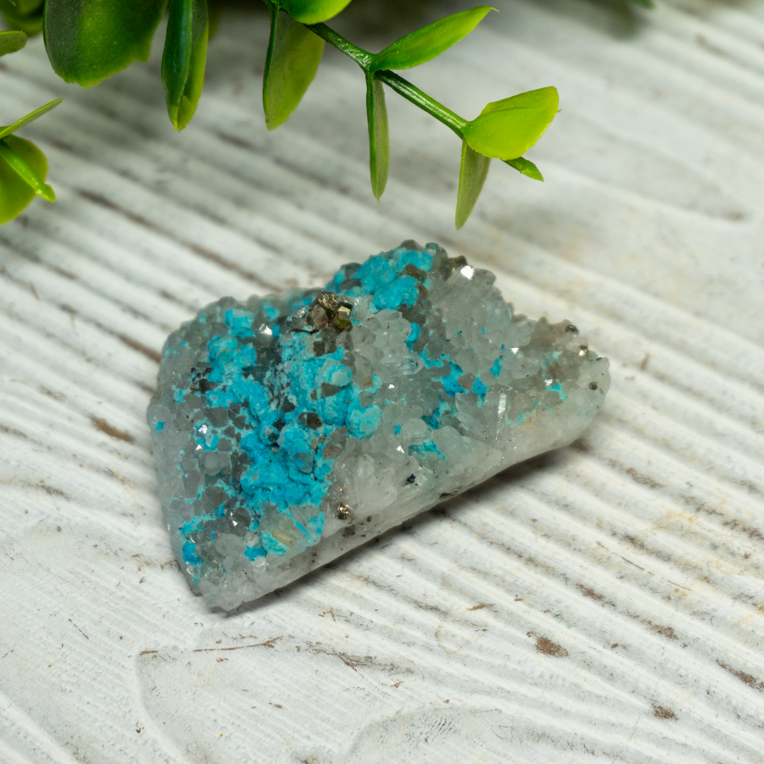 Small Turquoise on Quartz #5 - The Crystal Council