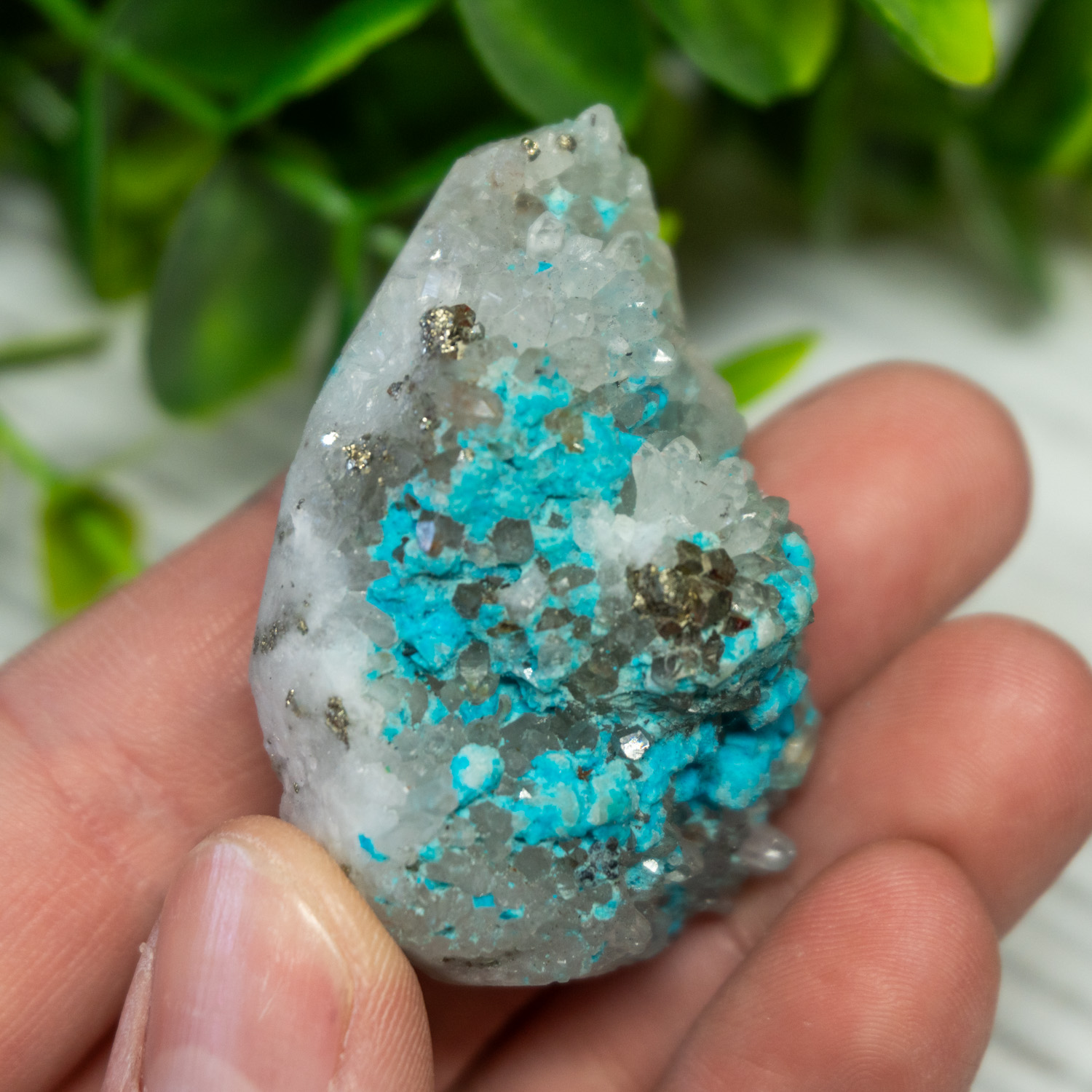 Small Turquoise on Quartz #5 - The Crystal Council