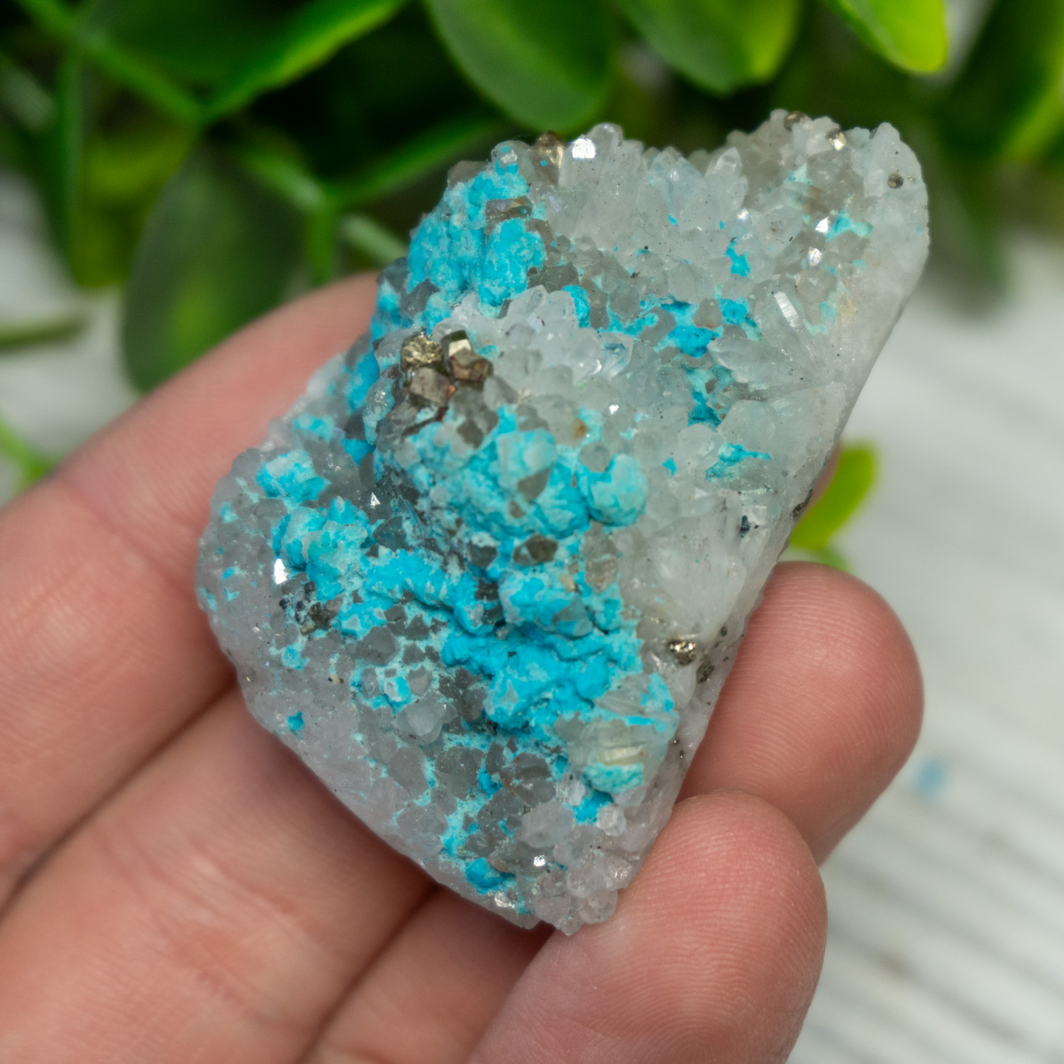 Small Turquoise on Quartz #5 - The Crystal Council