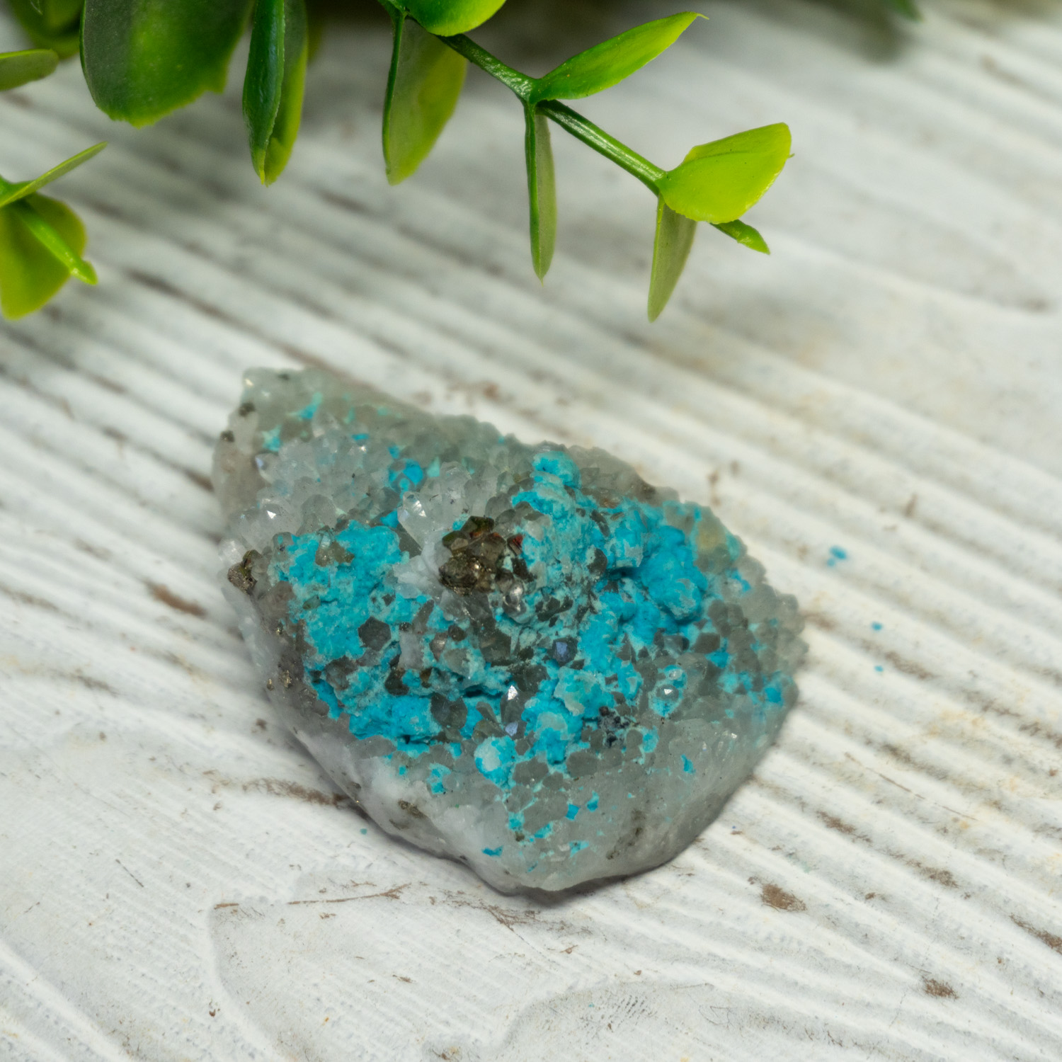 Small Turquoise on Quartz #5 - The Crystal Council