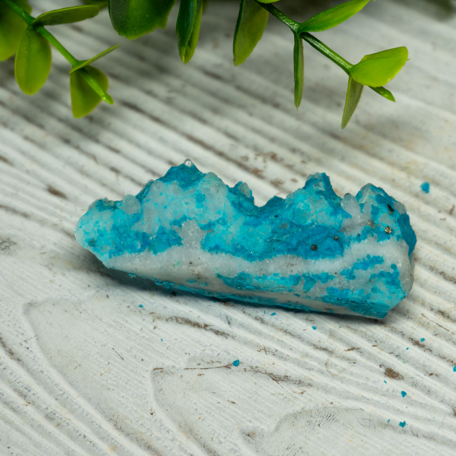 Small Turquoise on Quartz #4 - The Crystal Council