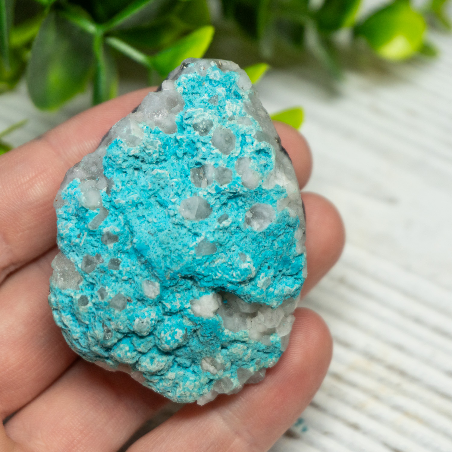 Small Turquoise on Quartz #3 - The Crystal Council