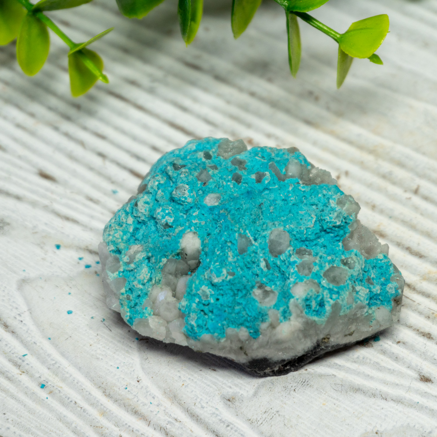 Small Turquoise on Quartz #3 - The Crystal Council