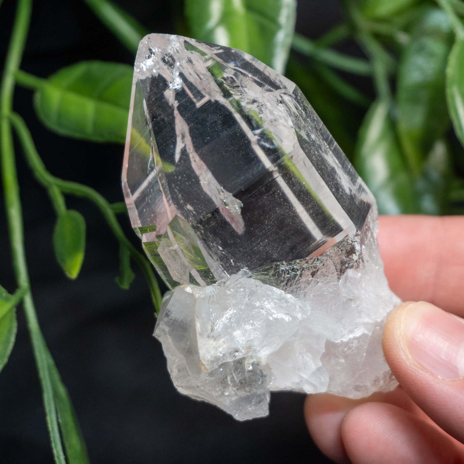 Himalayan Quartz Medium #4 - The Crystal Council